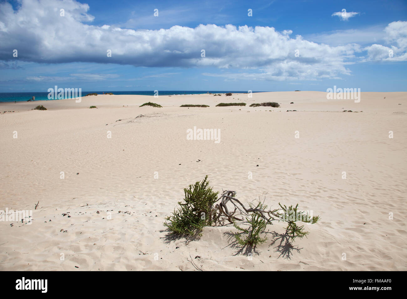Fuerteventura corralejo beach beaches hi-res stock photography and ...