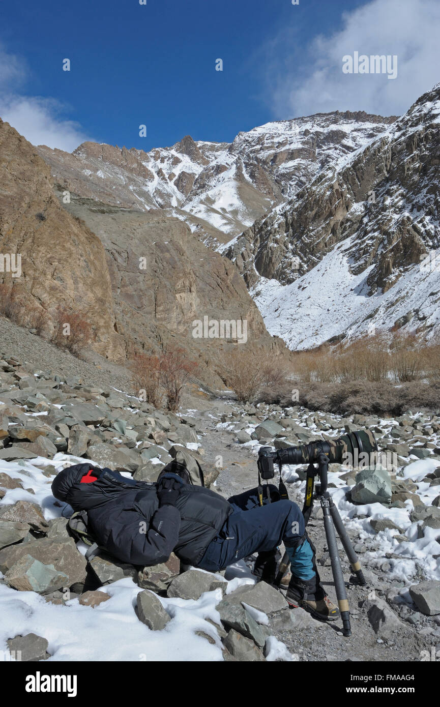 Trans himalaya hi-res stock photography and images - Alamy