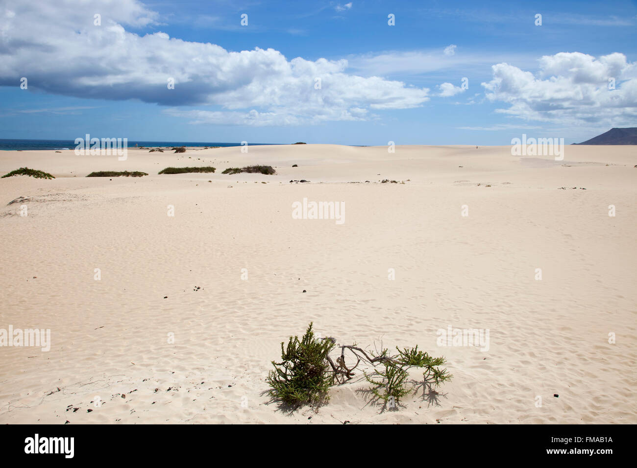 Fuerteventura corralejo beach beaches hi-res stock photography and ...