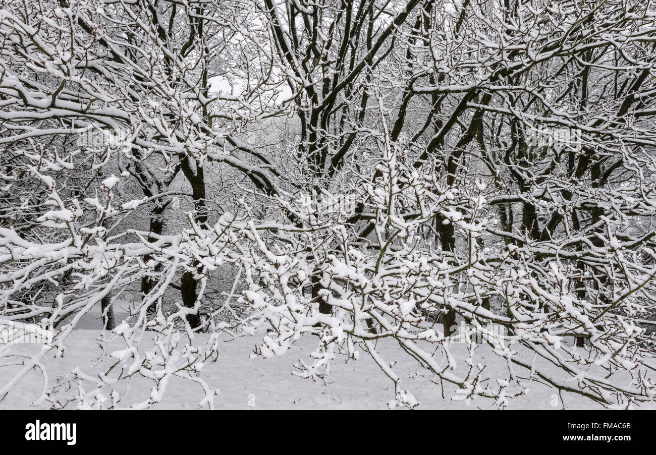 Laden covered hi-res stock photography and images - Alamy