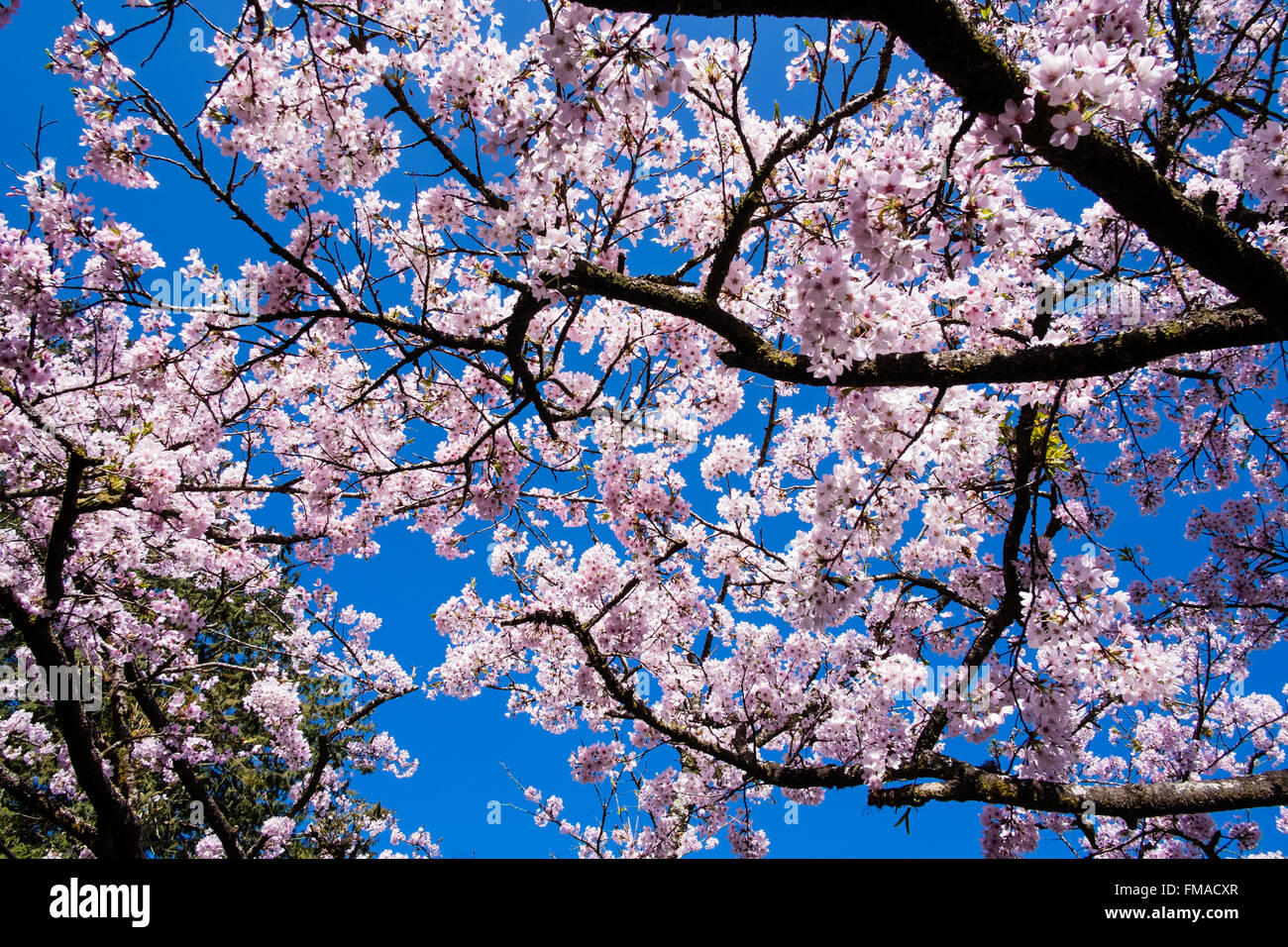 Mountain at ali hi-res stock photography and images - Alamy