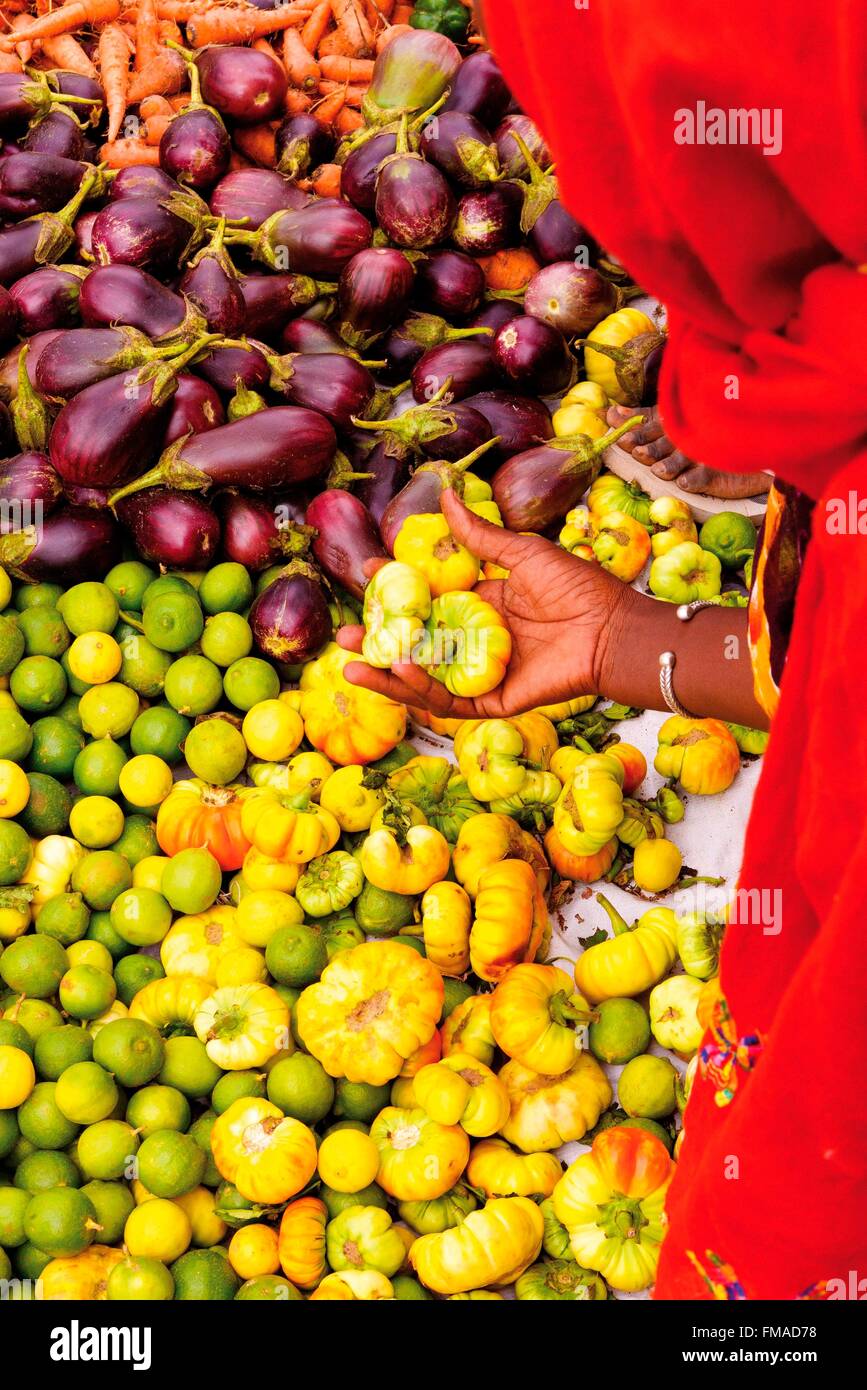 Senegal, Sahel, Ferlo region, Widou Thiengoly, Assorted vegetables ...