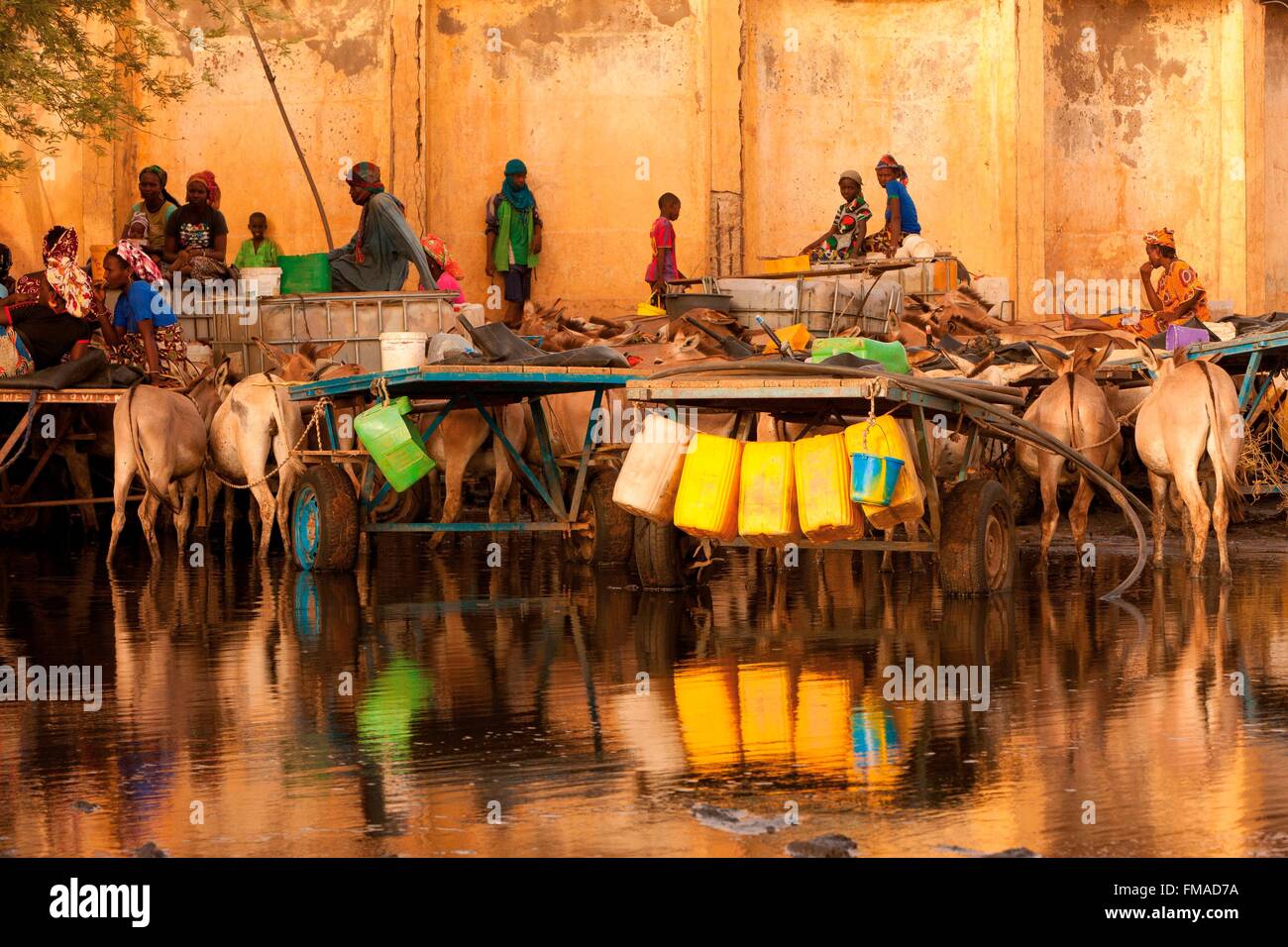 Senegal, Sahel, Ferlo region, Widou Thiengoly, Scooping water into a ...