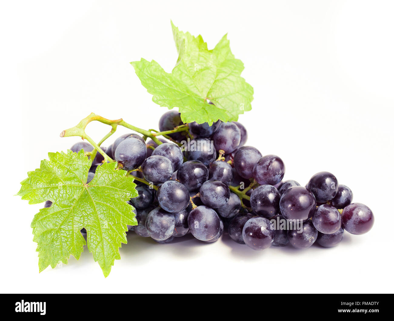 Bunch of grapes on white background Stock Photo - Alamy