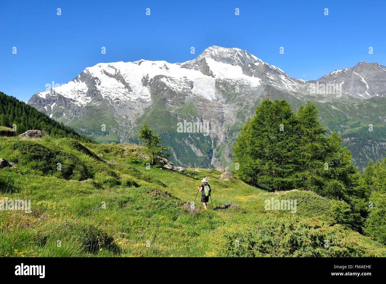 Mont pourri hi-res stock photography and images - Alamy