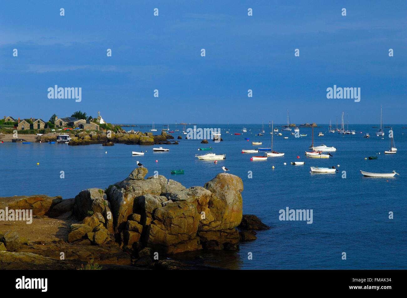 France, Manche, Chausey Islands, Normandy Stock Photo - Alamy