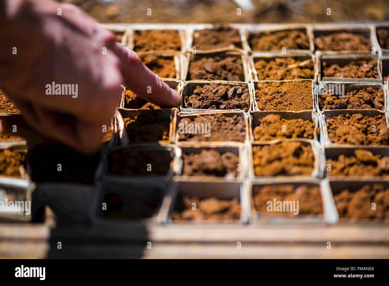 France, Guyana, French Guyana Amazonian Park, heart area, Camopi, soil ...