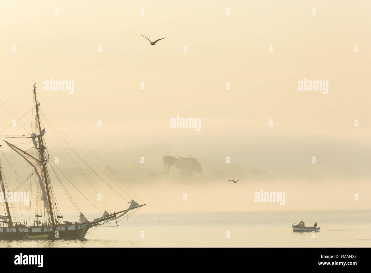 France, Finistere, Douarnenez, small coastal fishing boat facing a two ...