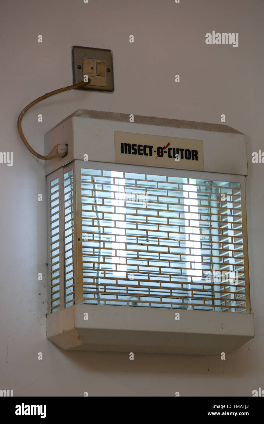 Insect-O-Cutor insect control unit on a wall in a cafe in Brighton ...