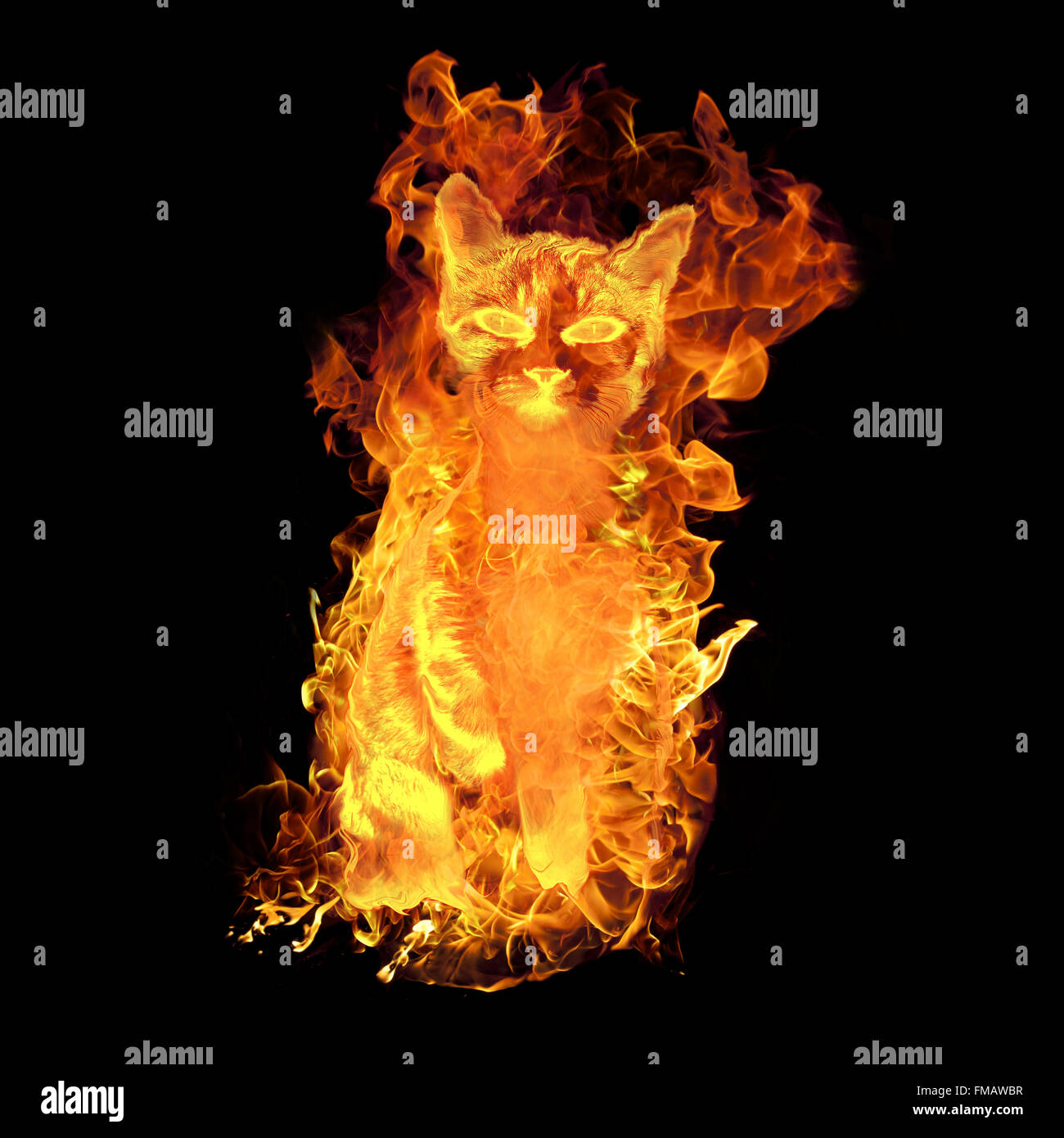 Mean cat in burning flames Stock Photo - Alamy