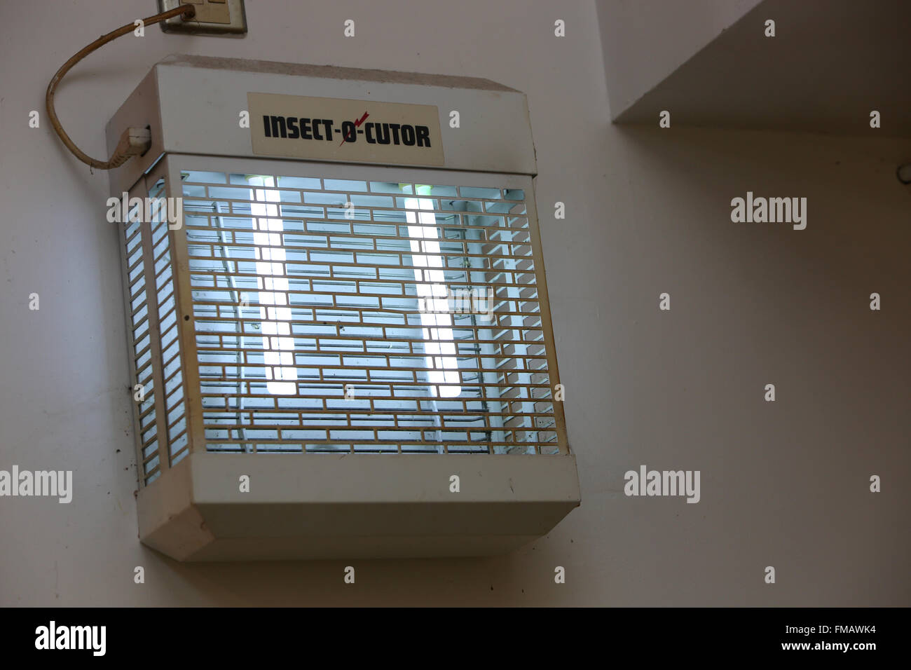 Insect o cutor hi-res stock photography and images - Alamy