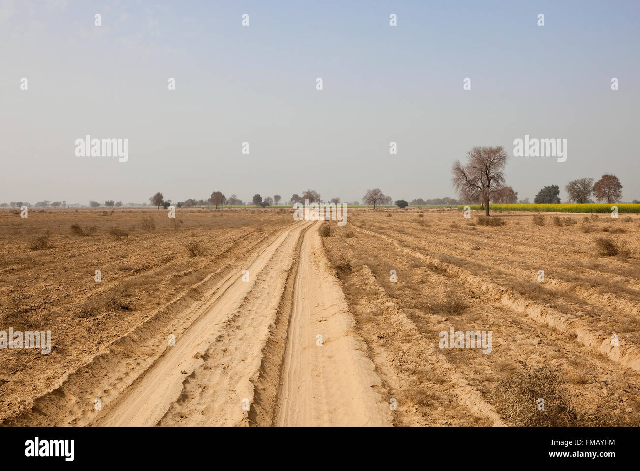 Dusty track through the arid semi desert agricultural landscape of ...