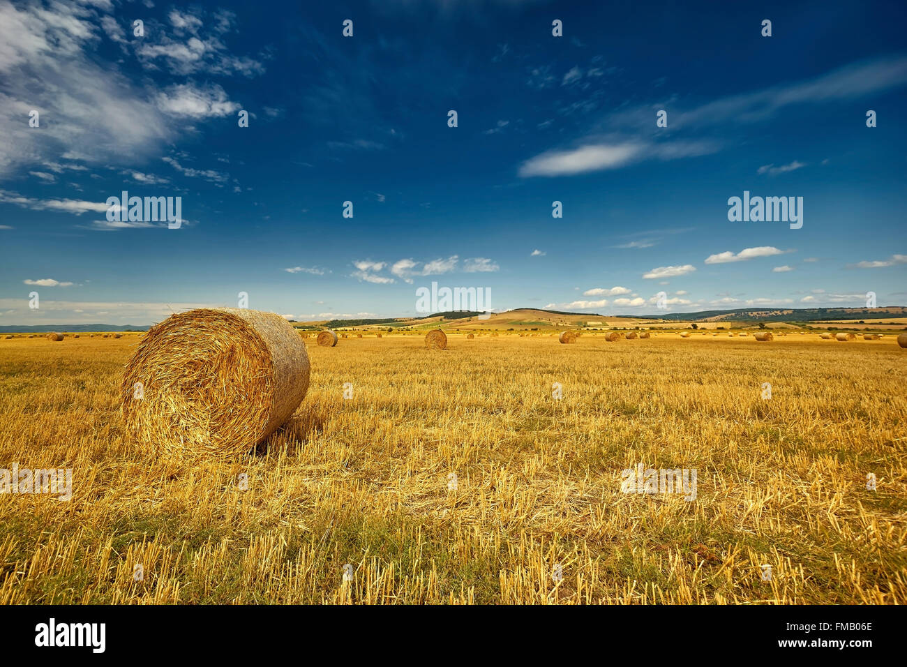 Hay bale agriculture hi-res stock photography and images - Alamy