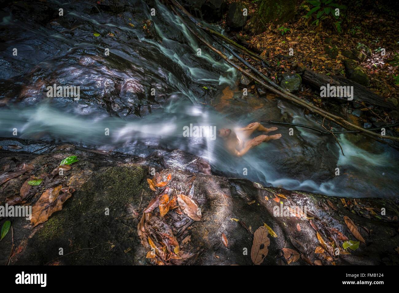 France, Guyana, French Guyana Amazonian Park, heart area, Camopi, one ...