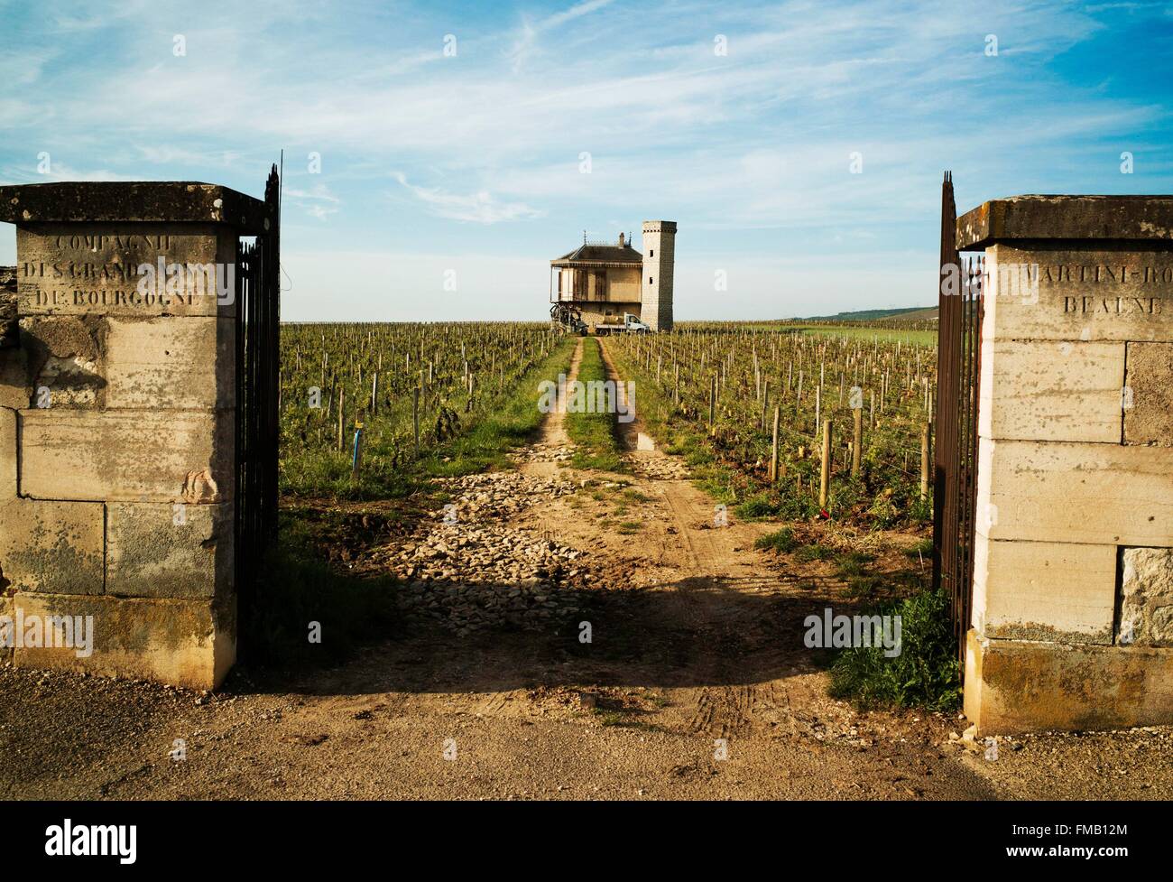 France, Cote d'Or, Vougeot, the tourist route of the Grands Crus de ...