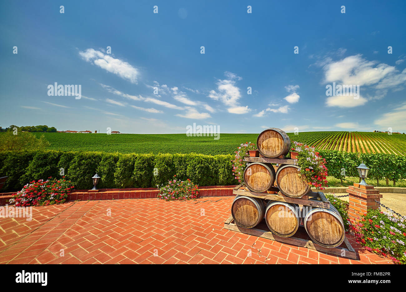 Romania vineyard hi-res stock photography and images - Alamy