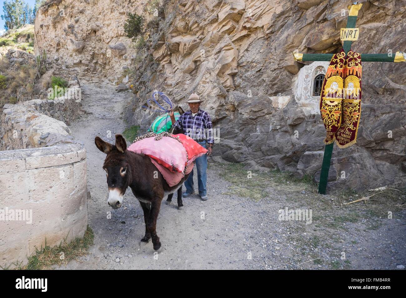 Peru, Arequipa Province, Colca canyon, Yanque village, muleteer close ...