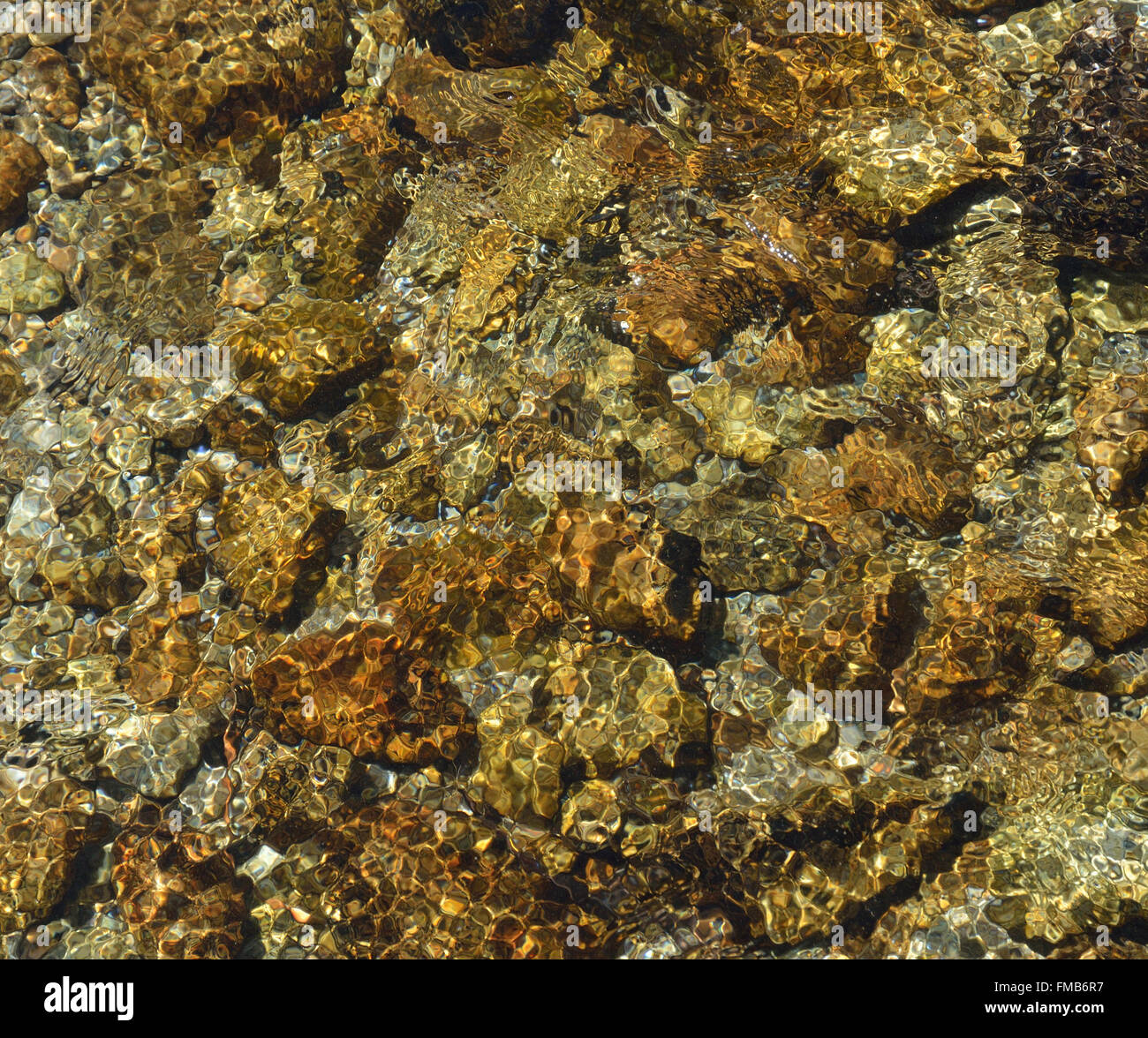 Close-up of the mountain riverbed through clear water flowing Stock ...