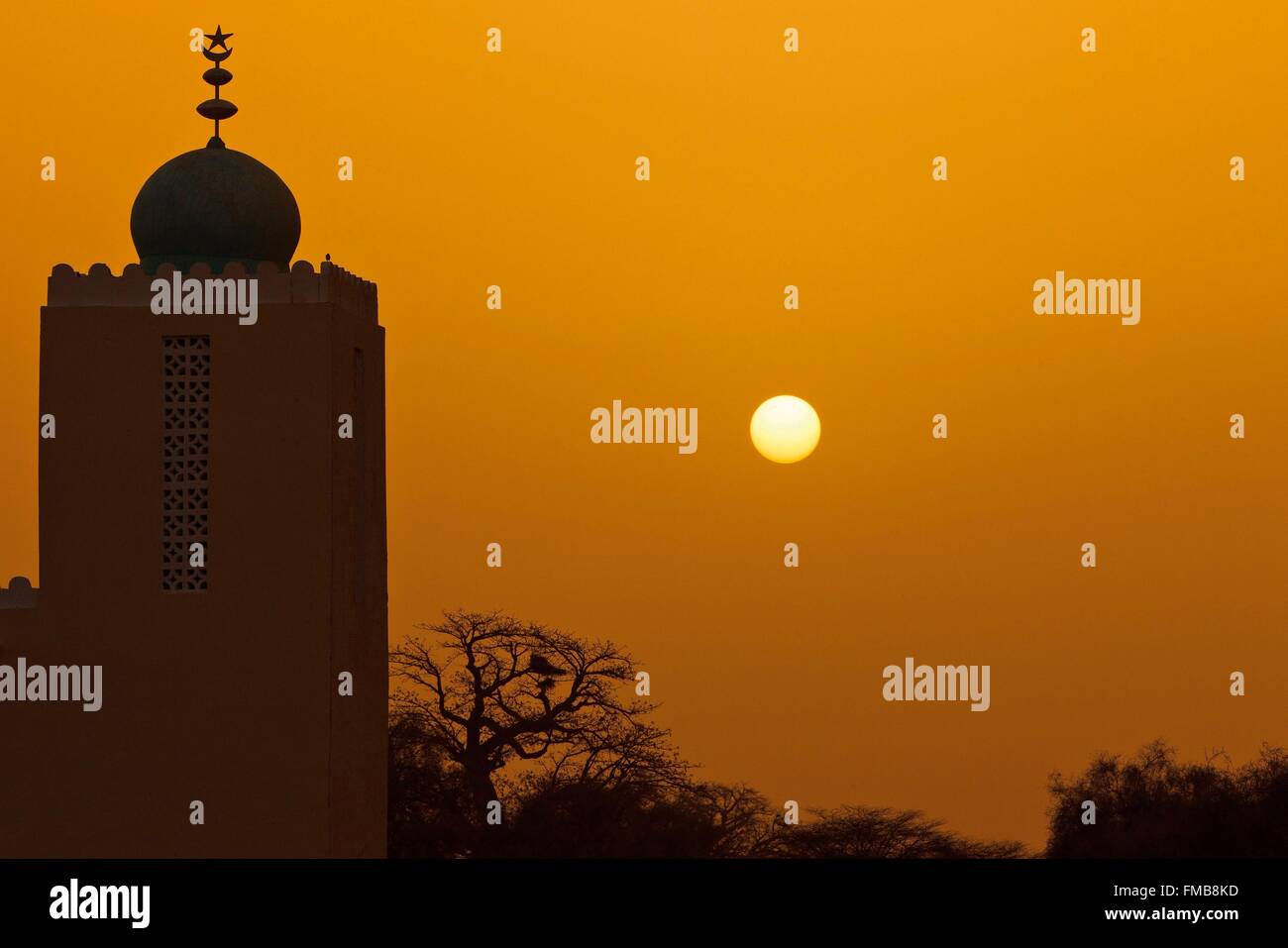 Senegal, Sahel, Ferlo region, Widou Thiengoly, Ferlo landscape at ...