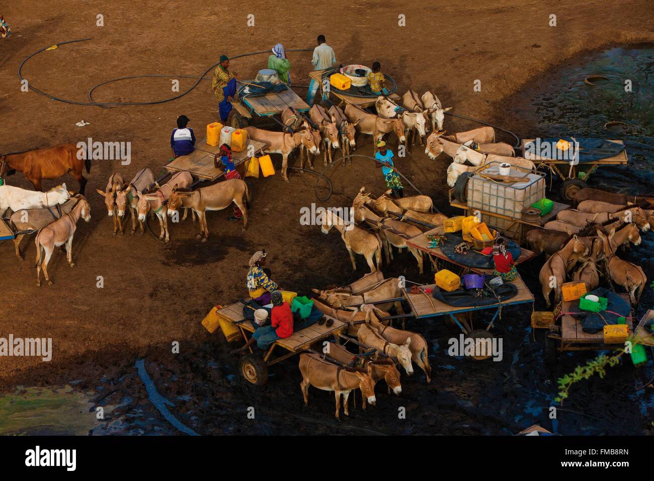 Senegal, Sahel, Ferlo region, Widou Thiengoly, Scooping water into a ...
