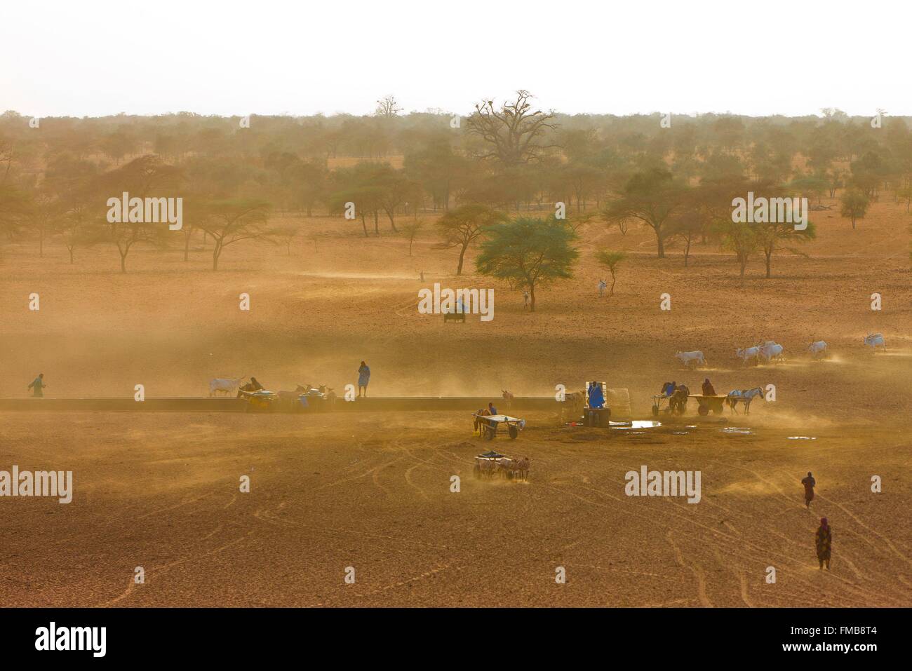 Senegal, Sahel, Ferlo region, Widou Thiengoly, Semi desert landscape in ...