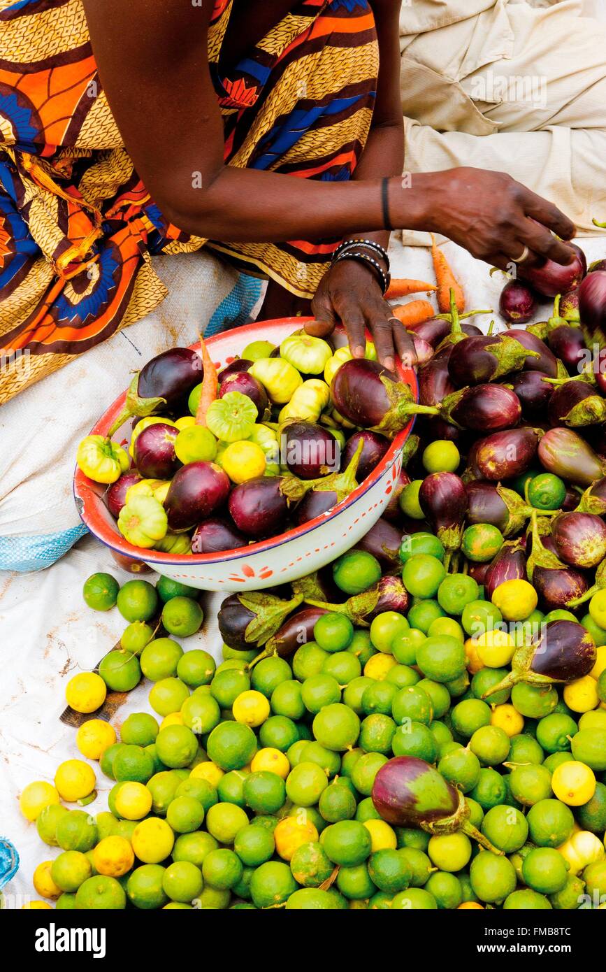 Senegal, Sahel, Ferlo region, Widou Thiengoly, Assorted vegetables ...