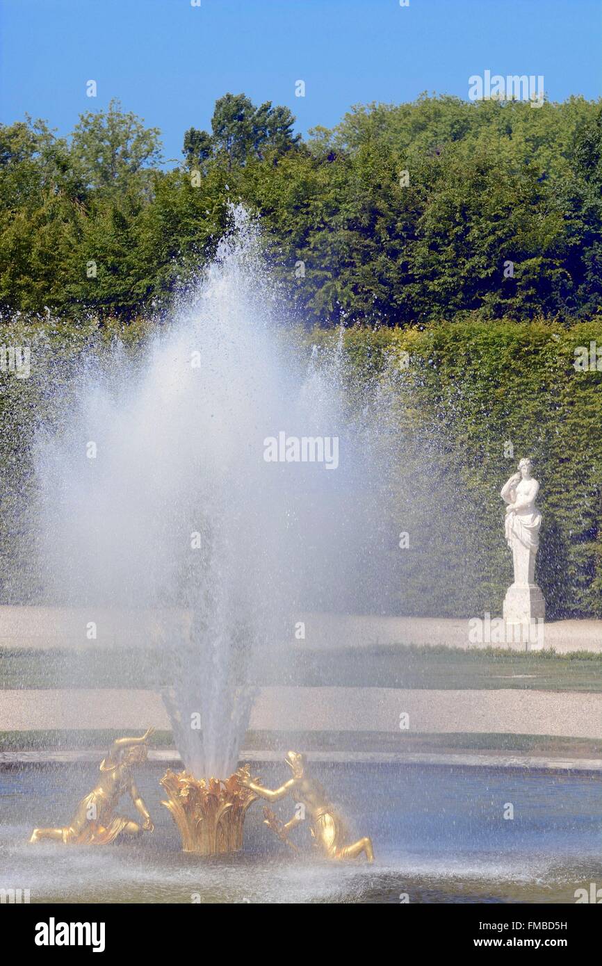 Types of lizards hi-res stock photography and images - Alamy