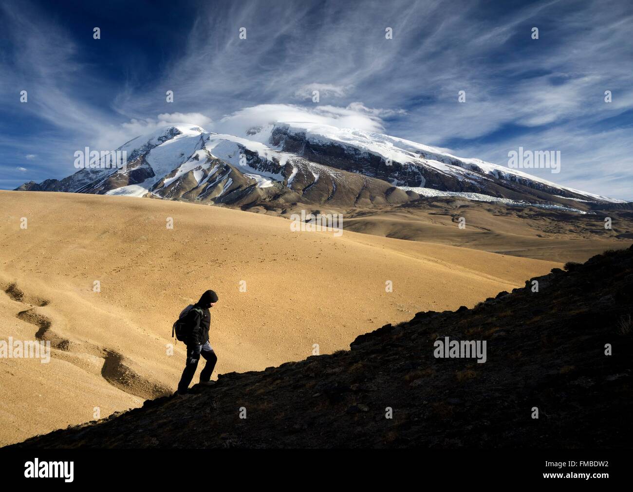 Karakul Sheep High Resolution Stock Photography and Images - Alamy