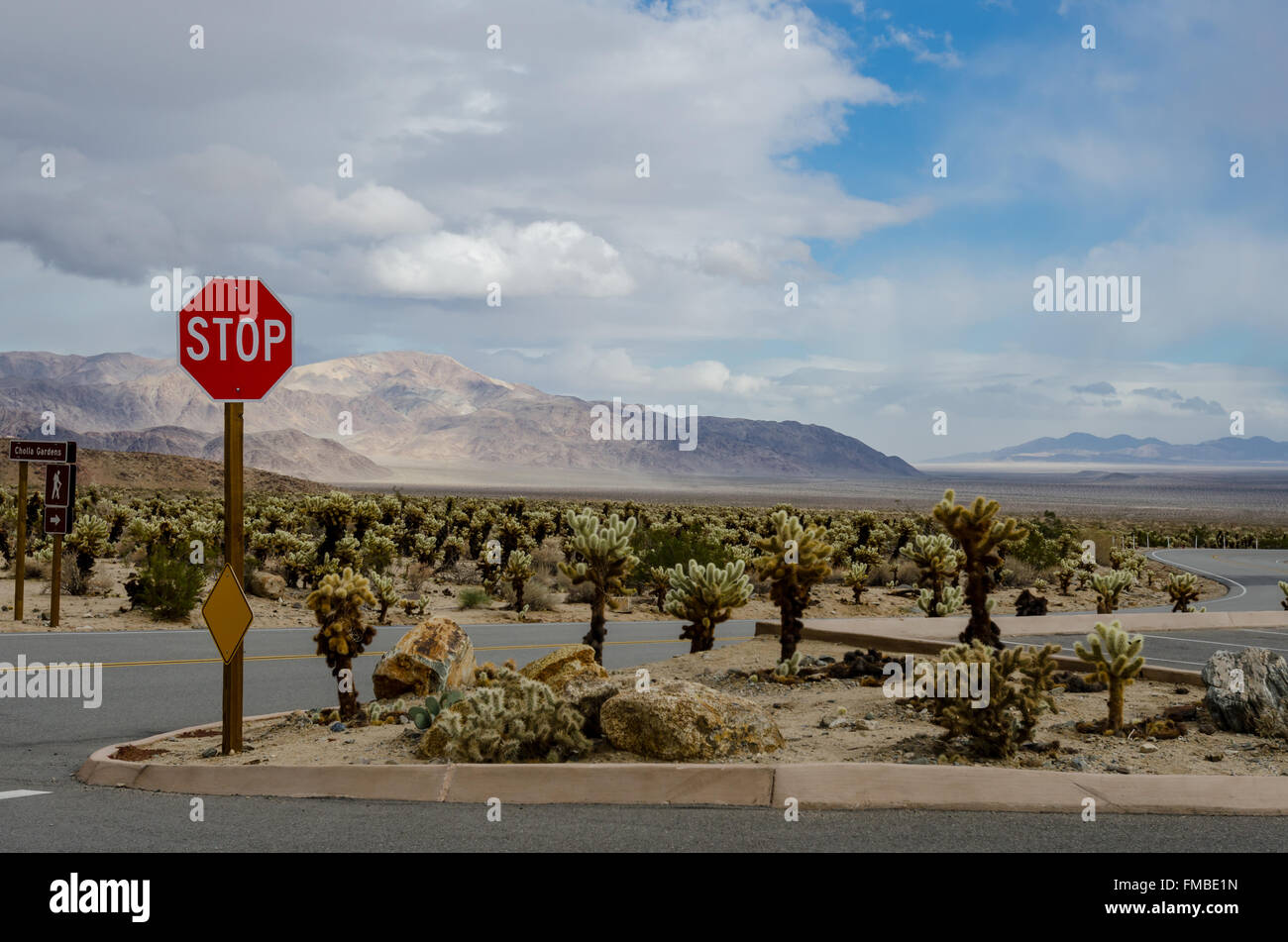 Desert road with stop sign hi-res stock photography and images - Alamy