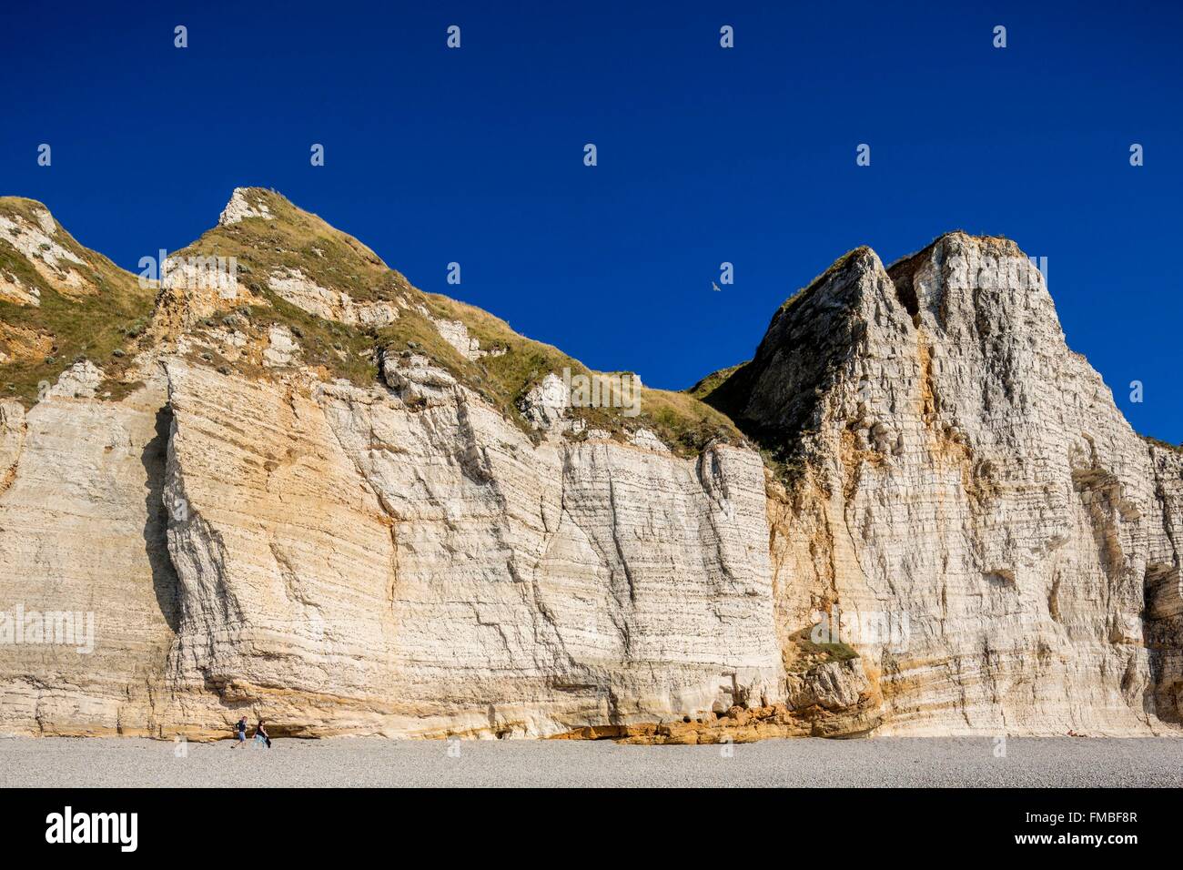 France, Seine Maritime, Caux, Alabaster Coast, Etretat, the cliff of ...