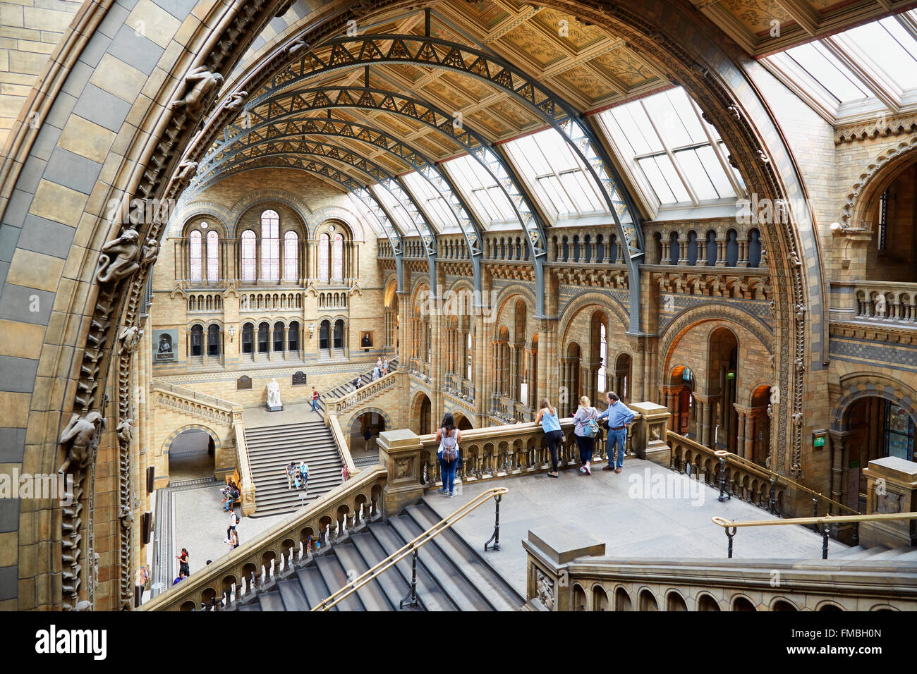 Natural History Museum London Interior