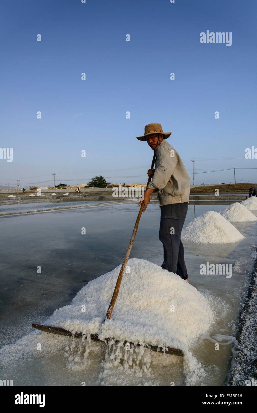 Vietnam, Ninh Thuan province, Phan Rang, salin, harvesting salt in the ...