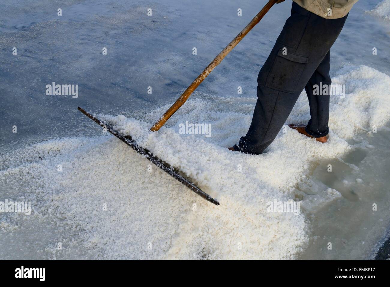 Vietnam, Ninh Thuan province, Phan Rang, salin, harvesting salt in the ...