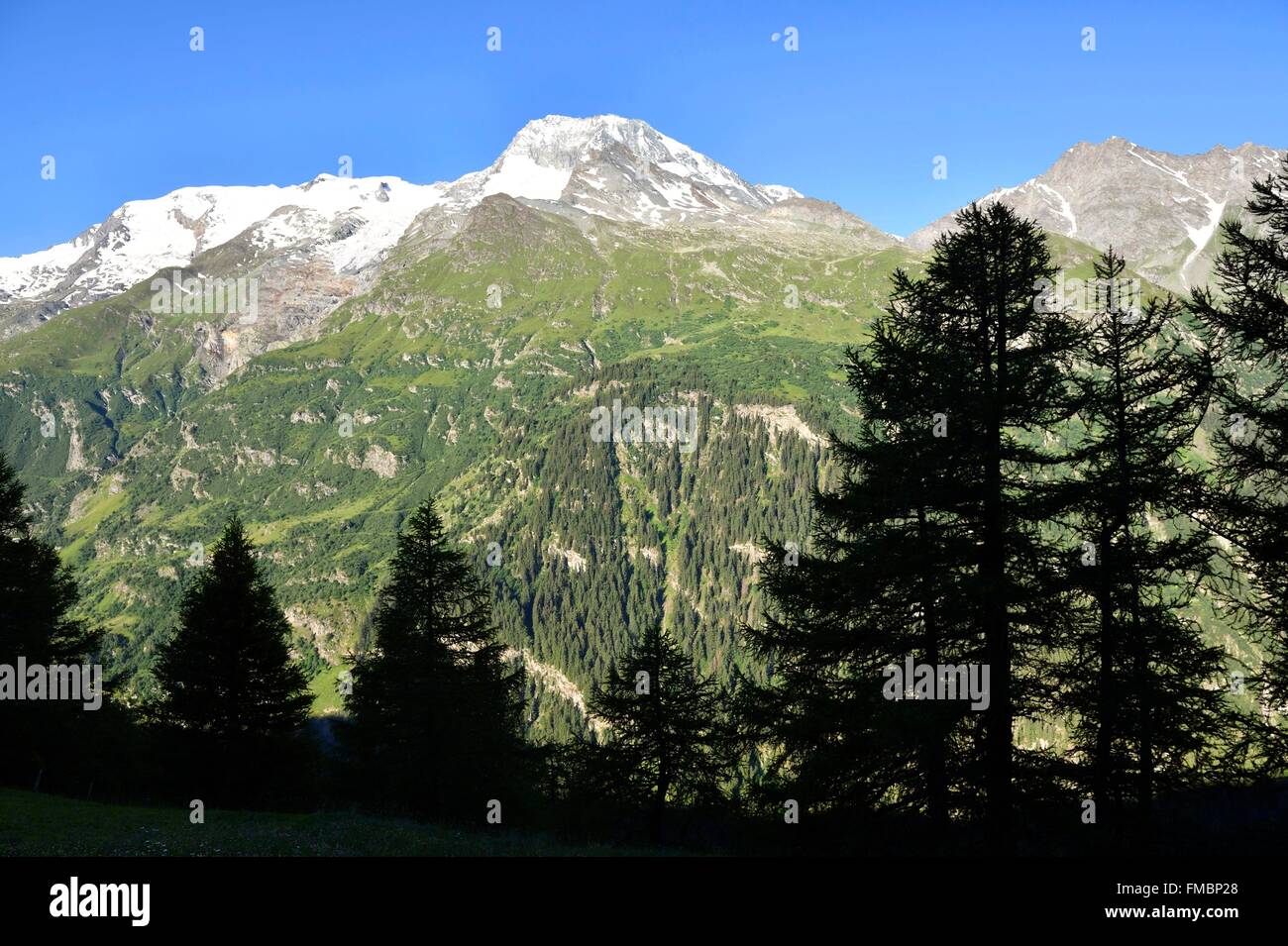 France, Savoie, Haute Tarentaise, Haute Tarentaise, the Vanoise ...