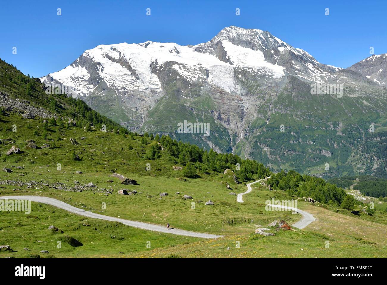 France, Savoie, Haute Tarentaise, Mont Pourri (3779 m) and north and ...