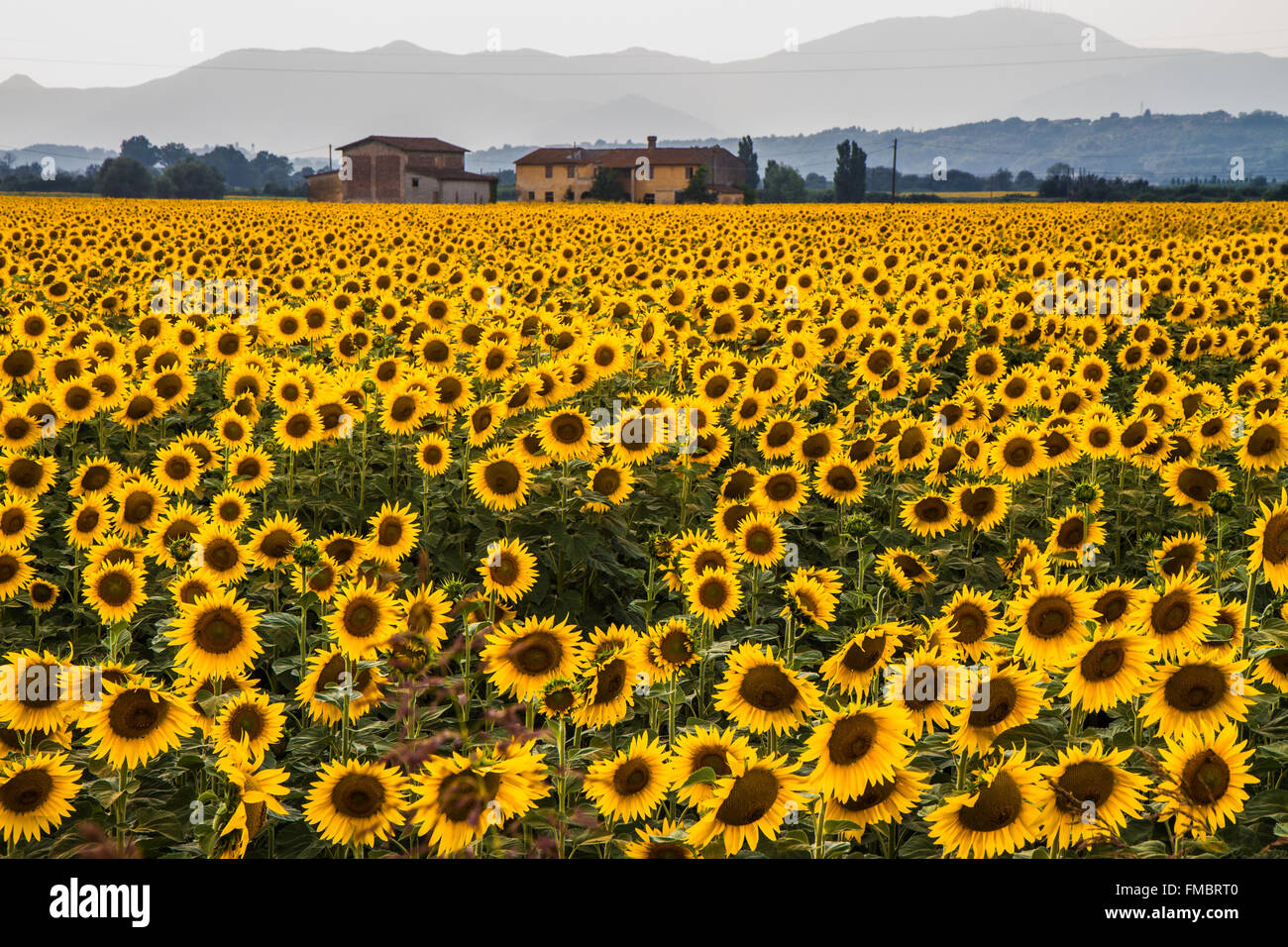 Cloudy sky objects hi-res stock photography and images - Alamy