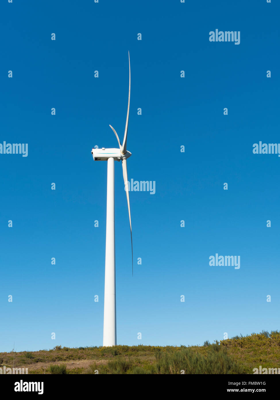 Single windmill against blue sky Stock Photo - Alamy