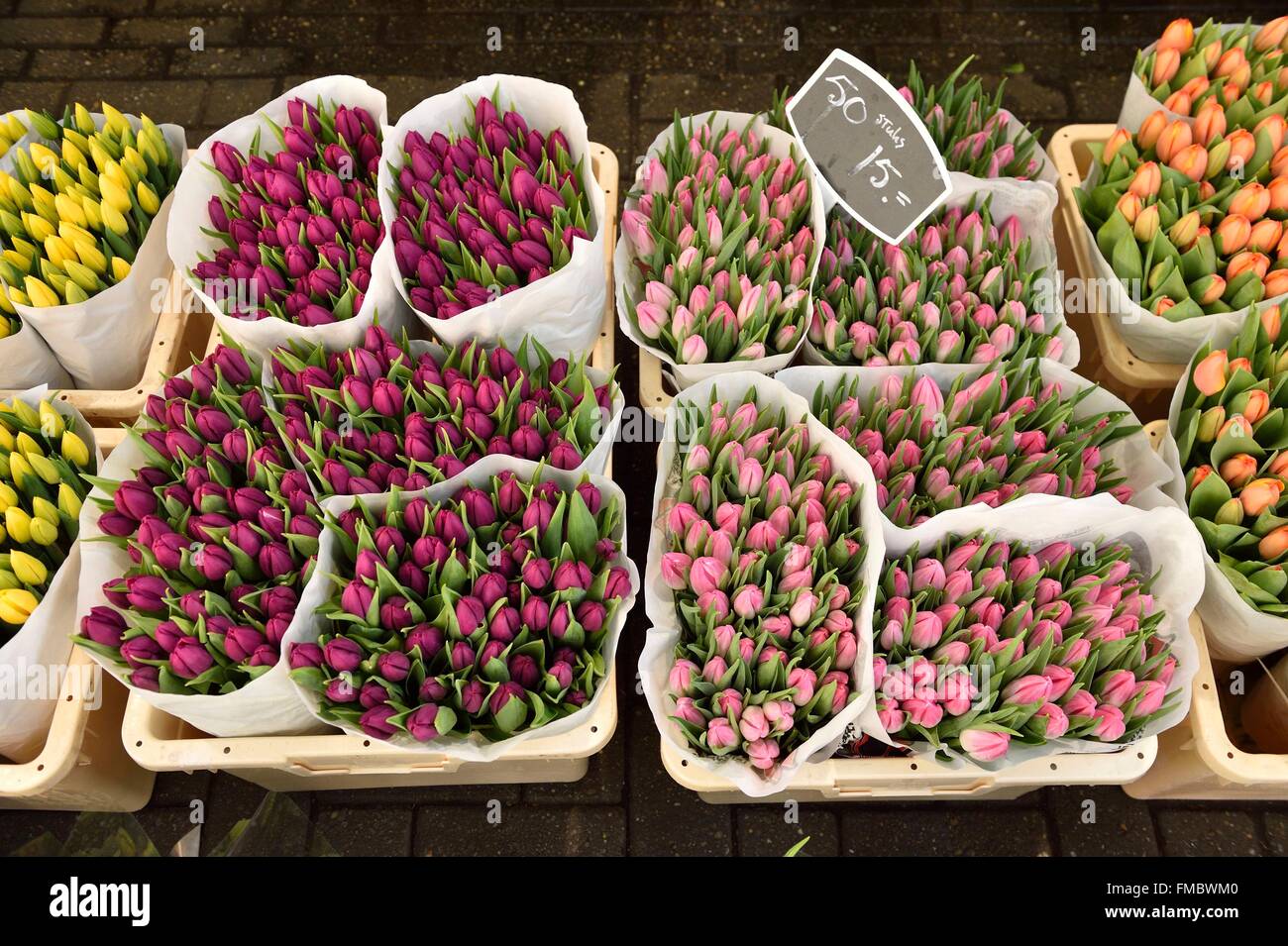 Spring amsterdam flower hi-res stock photography and images - Alamy