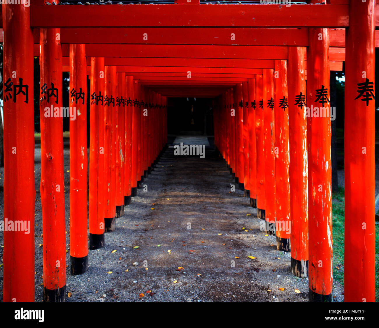 Japan torii gates hi-res stock photography and images - Alamy