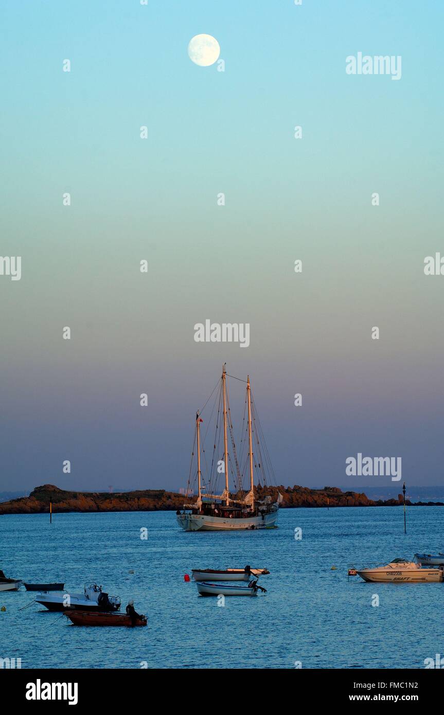 France, Manche, Chausey Islands, Normandy Stock Photo - Alamy