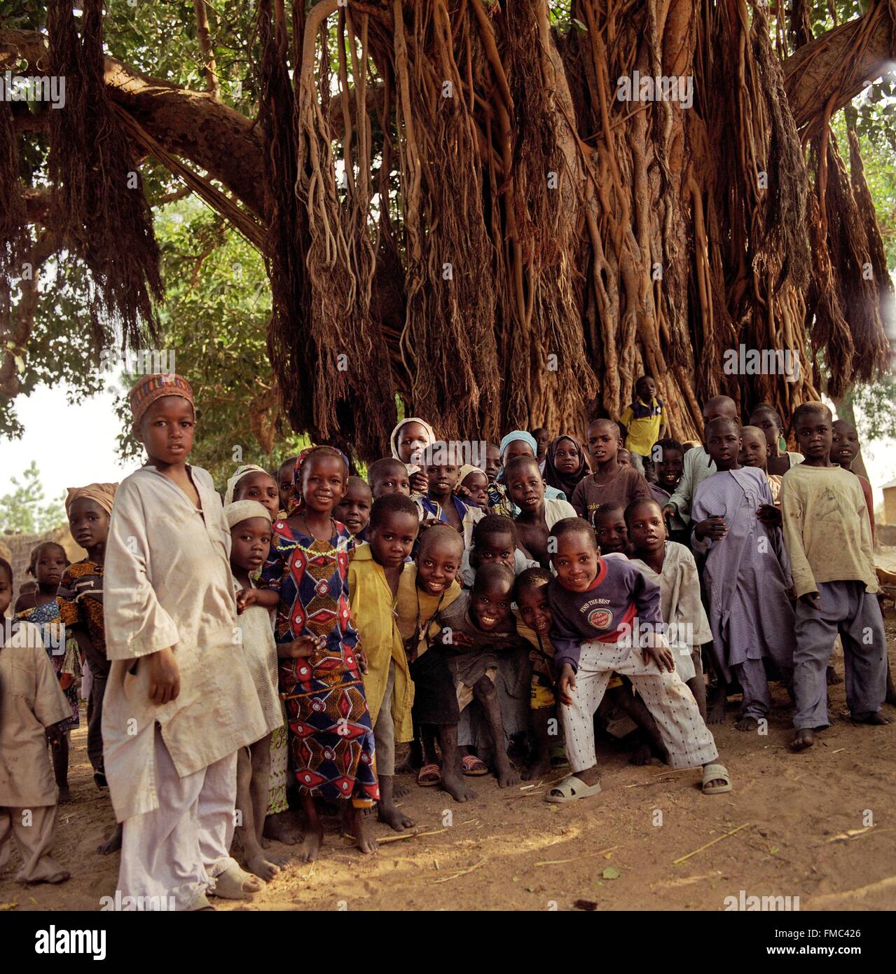 North tree hi-res stock photography and images - Alamy