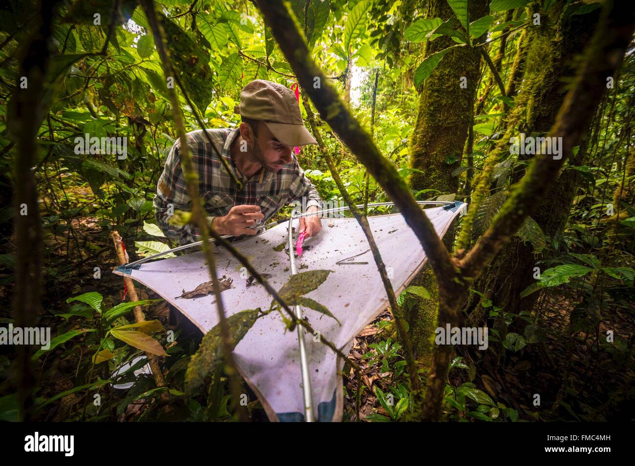 France, Guyana, French Guyana Amazonian Park, heart area, Camopi, an ...