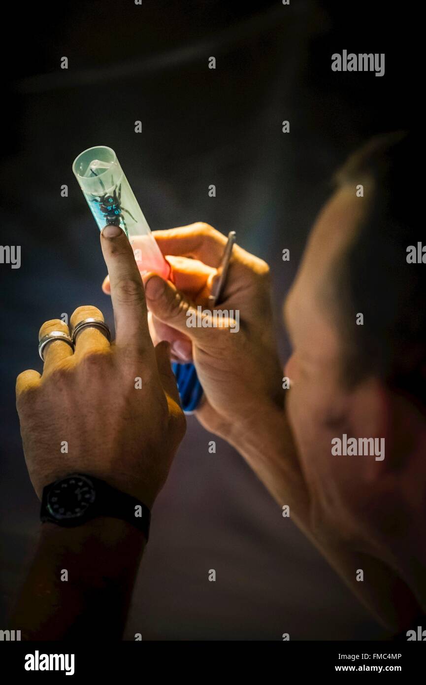 France, Guyana, French Guyana Amazonian Park, heart area, Camopi ...