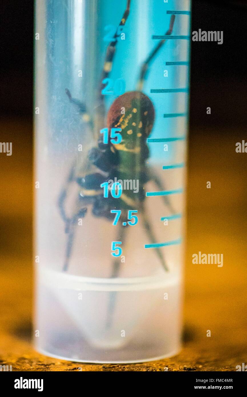 Fmc4mr hi-res stock photography and images - Alamy