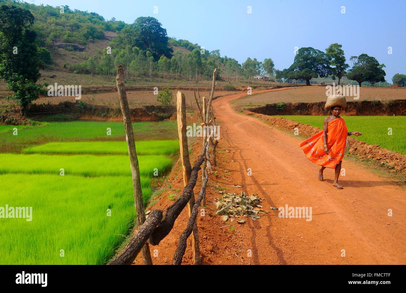 Odisha culture hi-res stock photography and images - Alamy