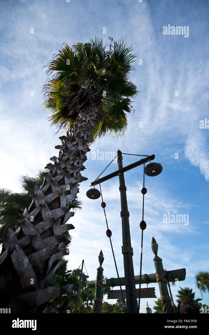 Looking upward at a palm tree extending into the sky along the ...
