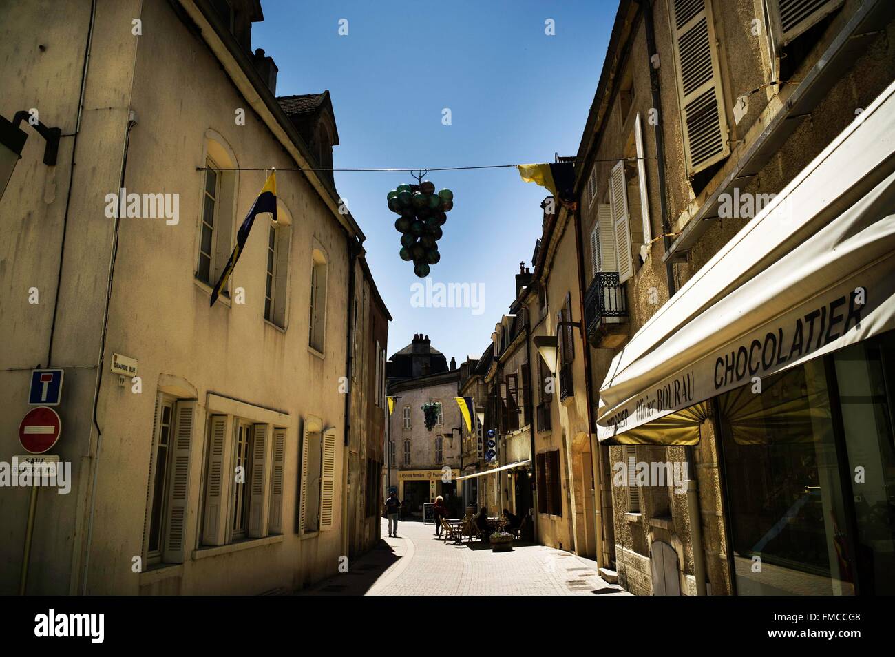 France, Cote d'Or, Nuits Saint Georges, the tourist route of the Grands ...