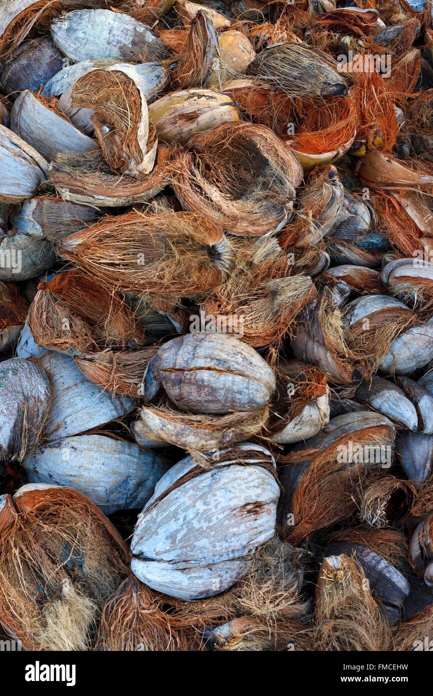 Copra hi-res stock photography and images - Alamy