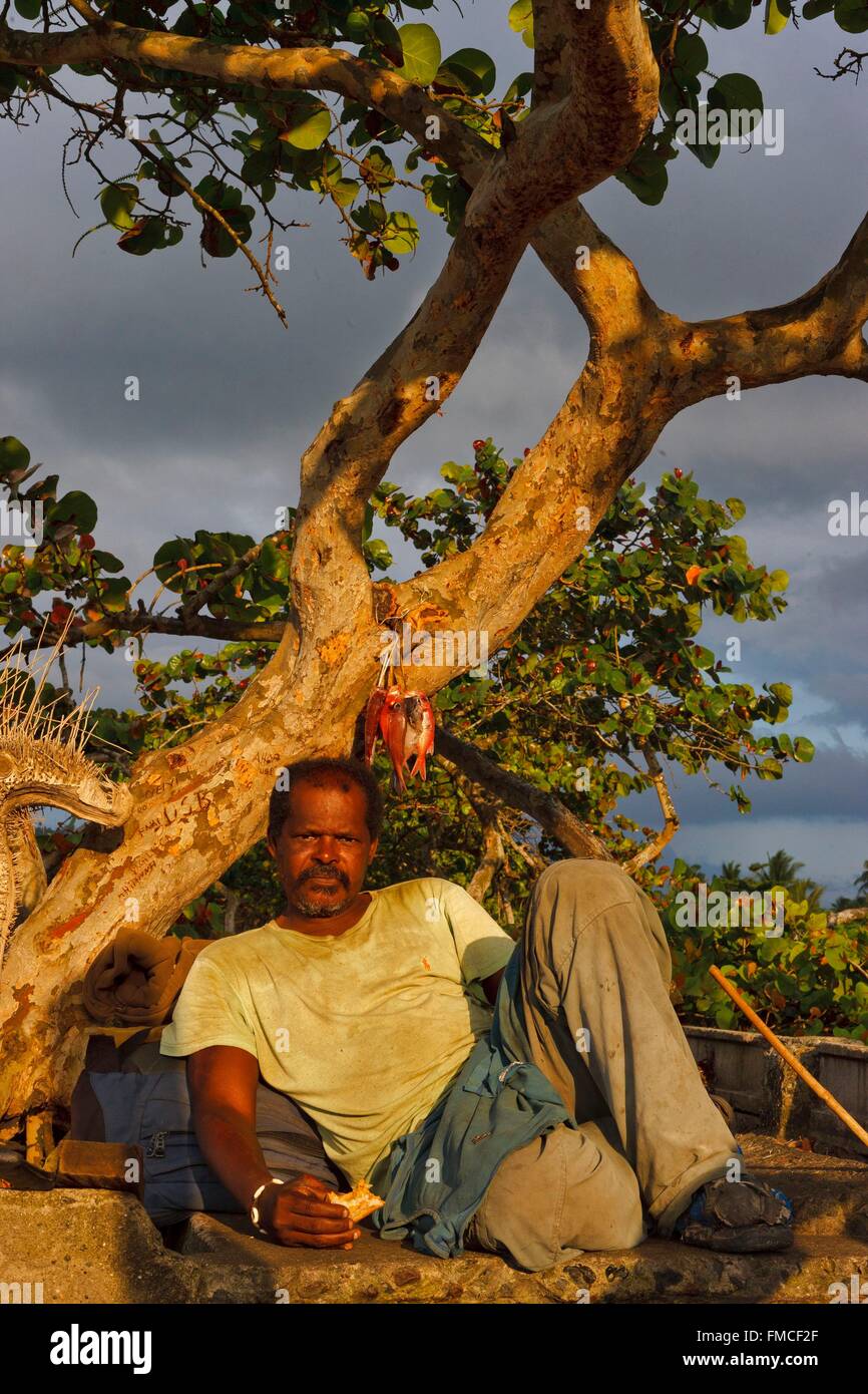 Guantanamo province animal hi-res stock photography and images - Alamy