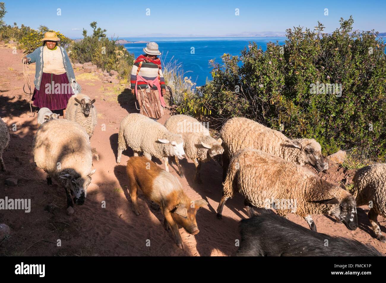 Peru, Puno Province, Titicaca lake, Capachica peninsula, Llachon ...